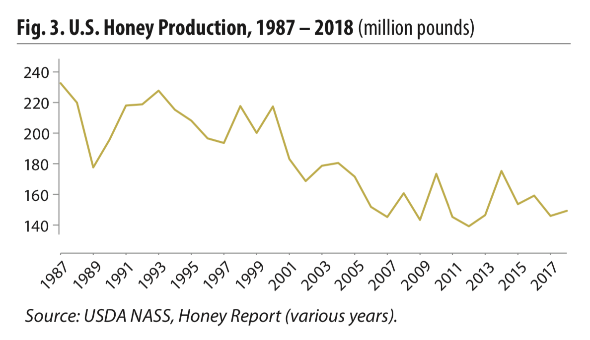Statistical Summary: Honey Bees | Bartell Powell LLP